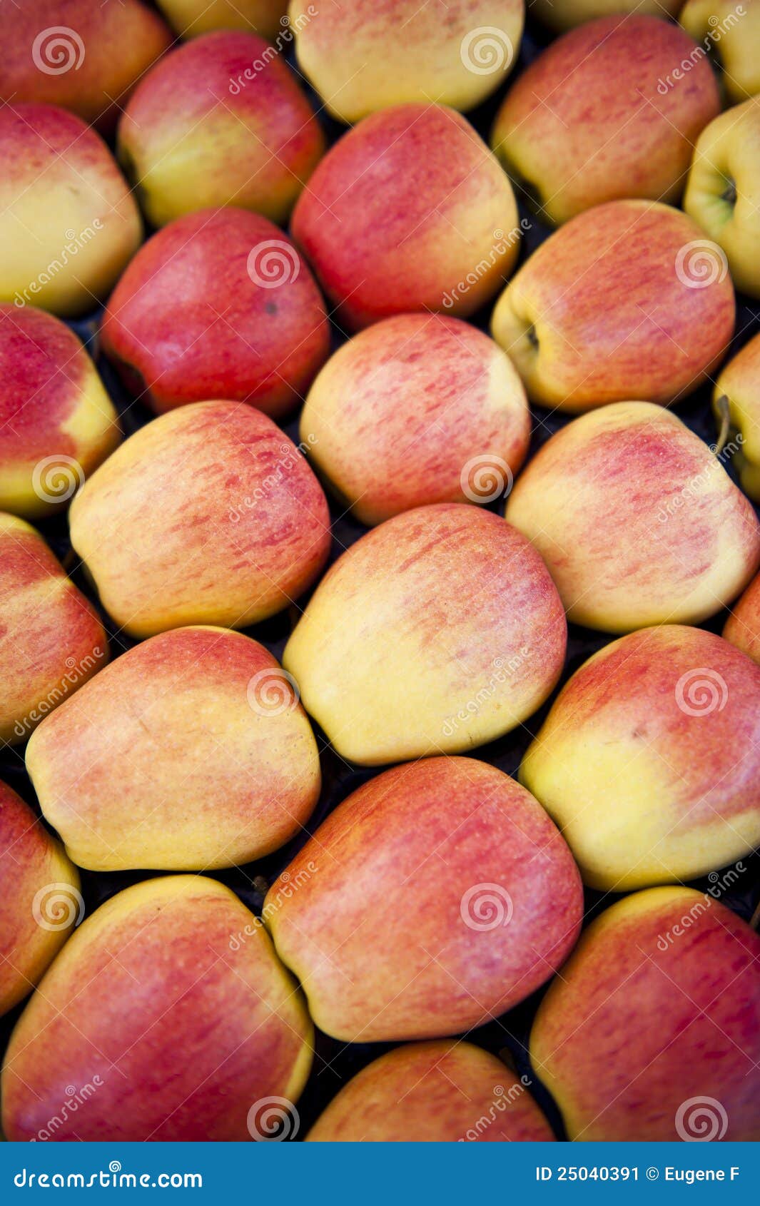 Packed Apples stock image. Image of green, circle, grow - 25040391