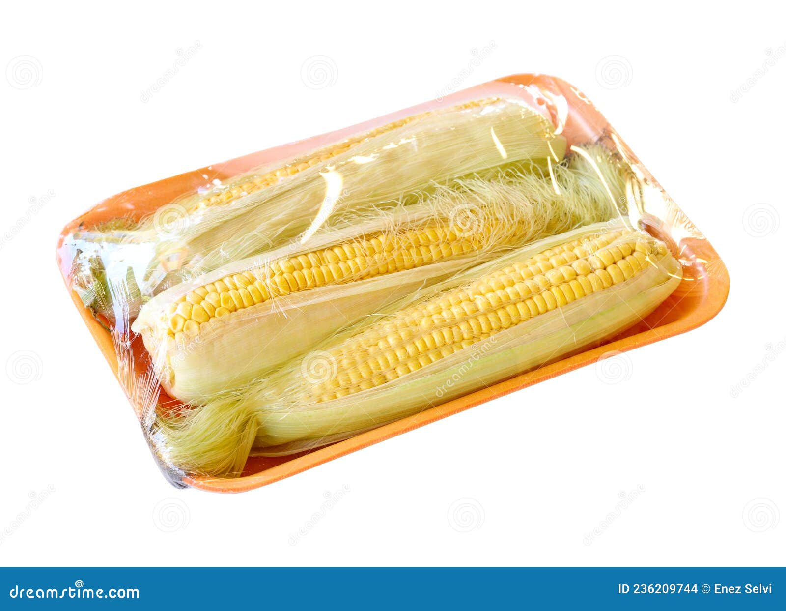 Packed Corn Isolated on a White Background. Stock Photo - Image of ...