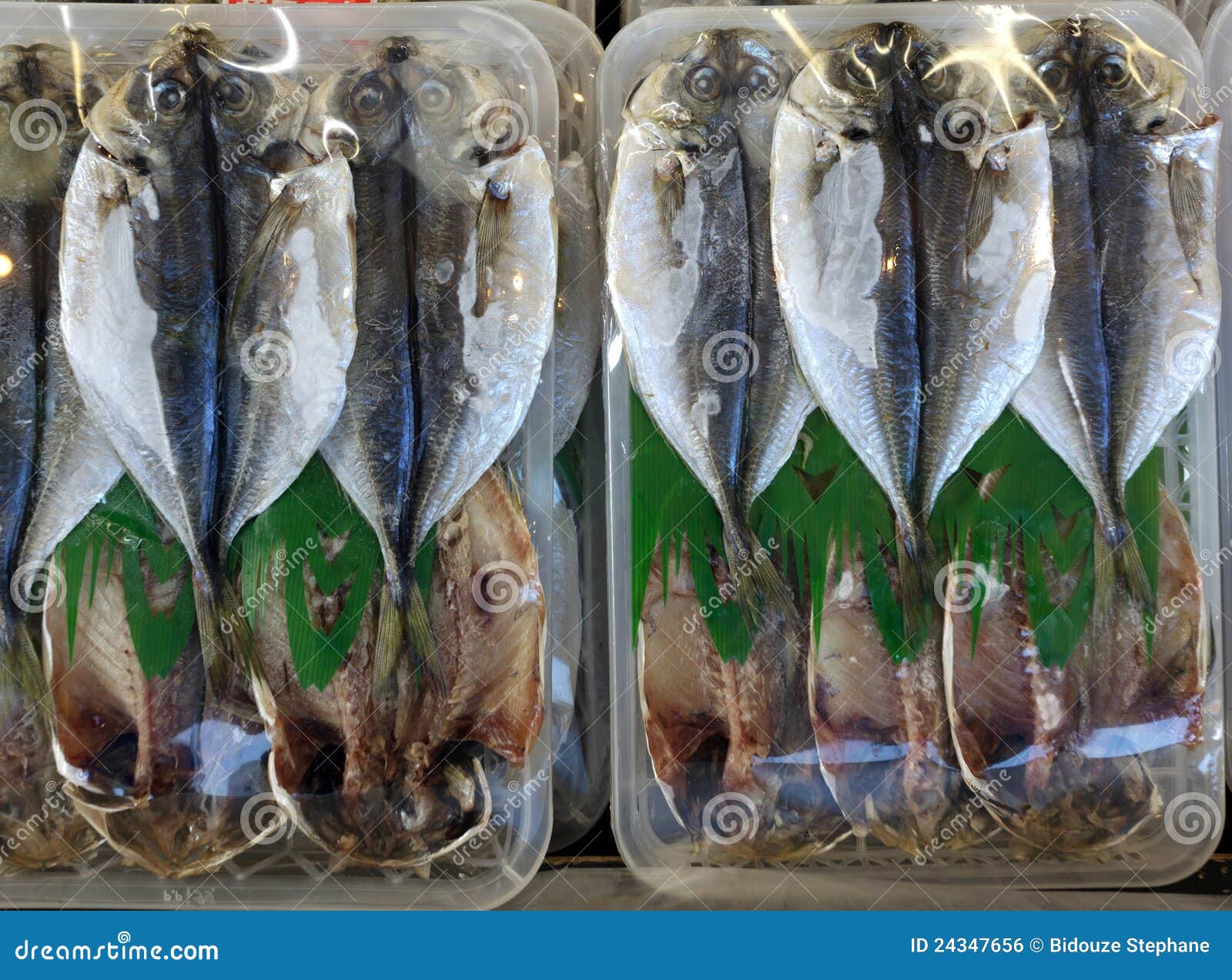 Packed fresh fish stock illustration. Illustration of stack - 24347656