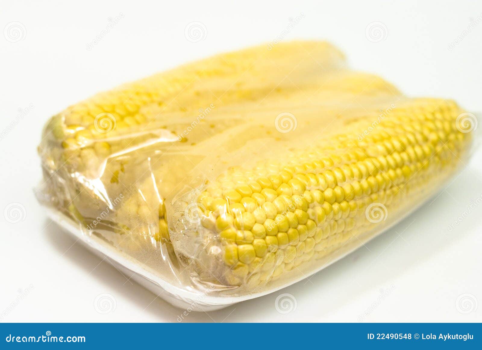 Packed fresh maize stock photo. Image of bowl, heap, dish - 22490548