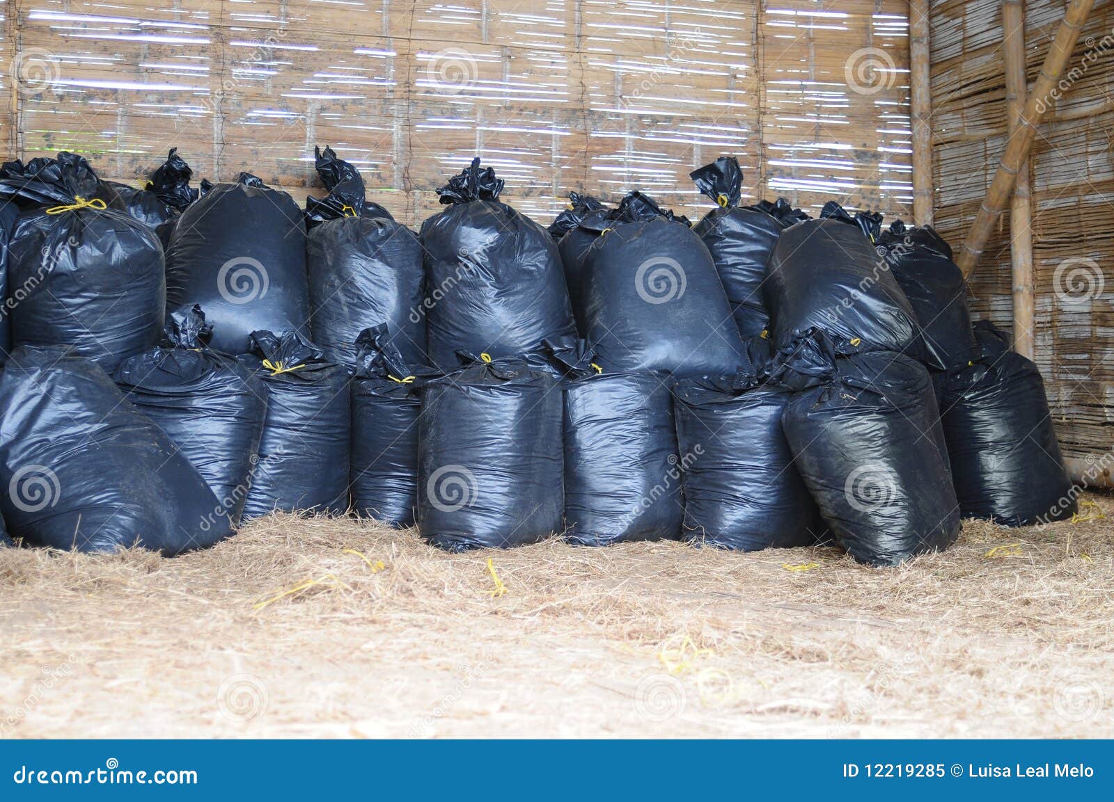 Packed hay stock image. Image of gathered, overlapped - 12219285