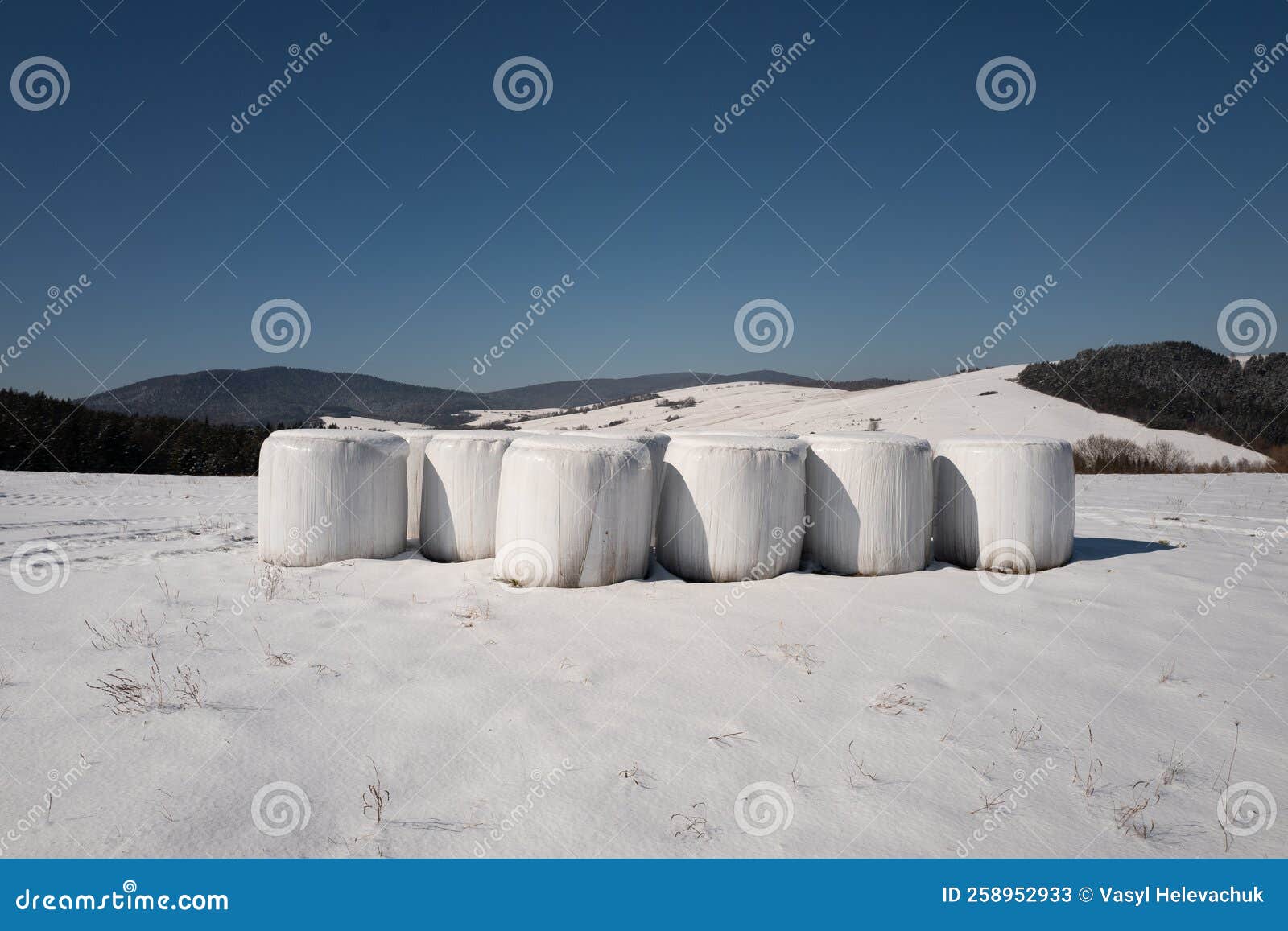 Packed Hay in Plastic Lying in Field Against the Backdrop of Mountains ...