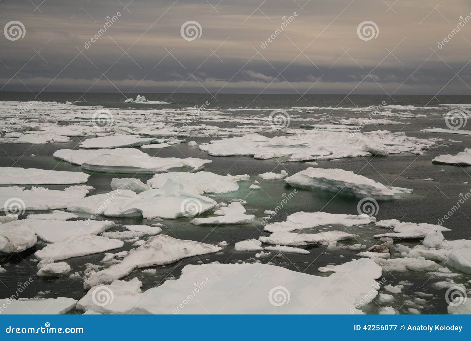 Packed ice in Arctic sea stock image. Image of natural - 42256077