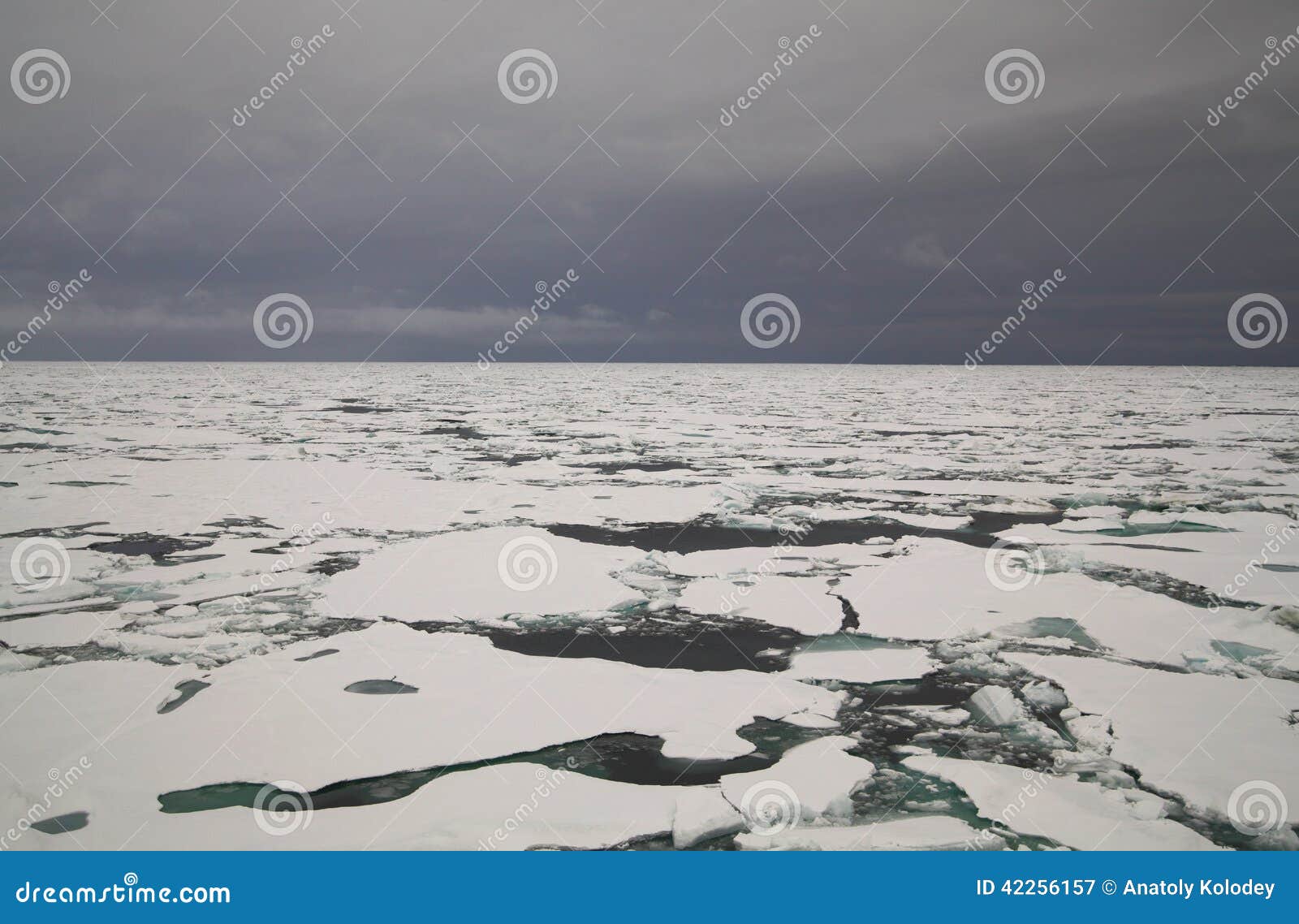 Packed ice in Arctic sea stock image. Image of north - 42256157