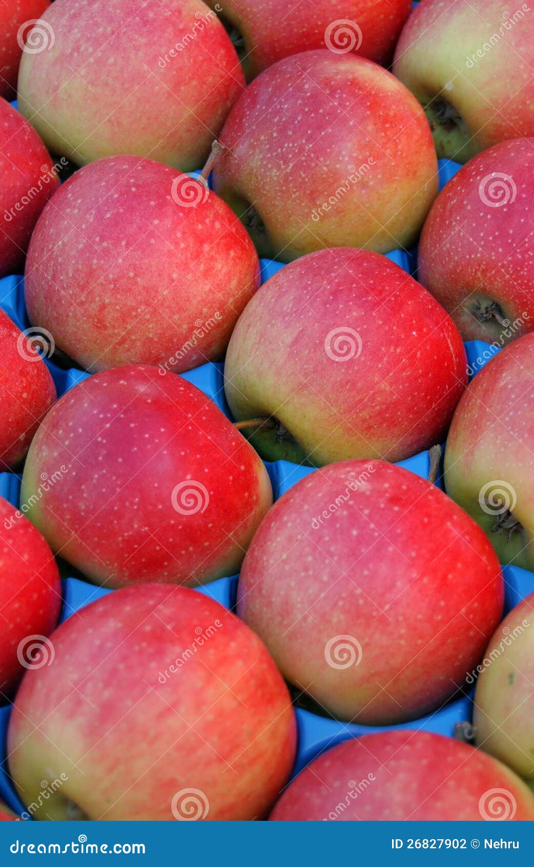 Packed red apples stock photo. Image of ripe, leaf, green - 26827902
