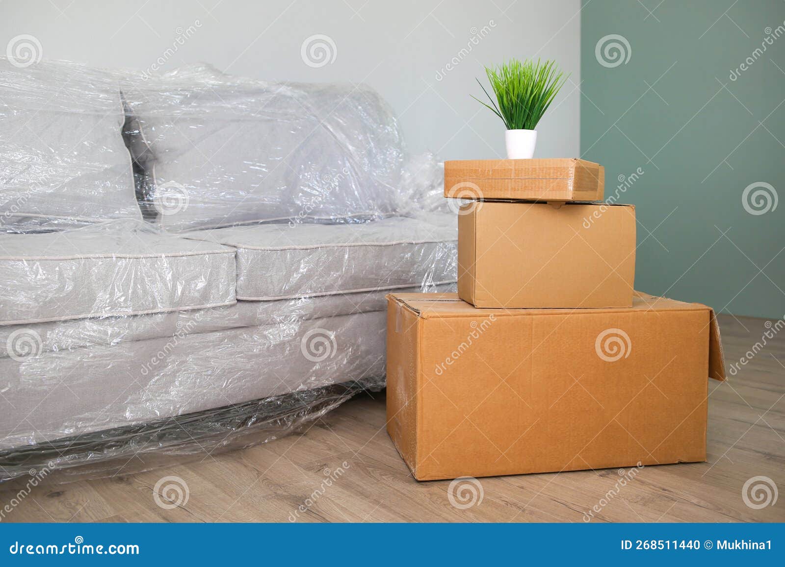 Packed Sofa and Cardboard Boxes in the Living Room. the Concept of ...