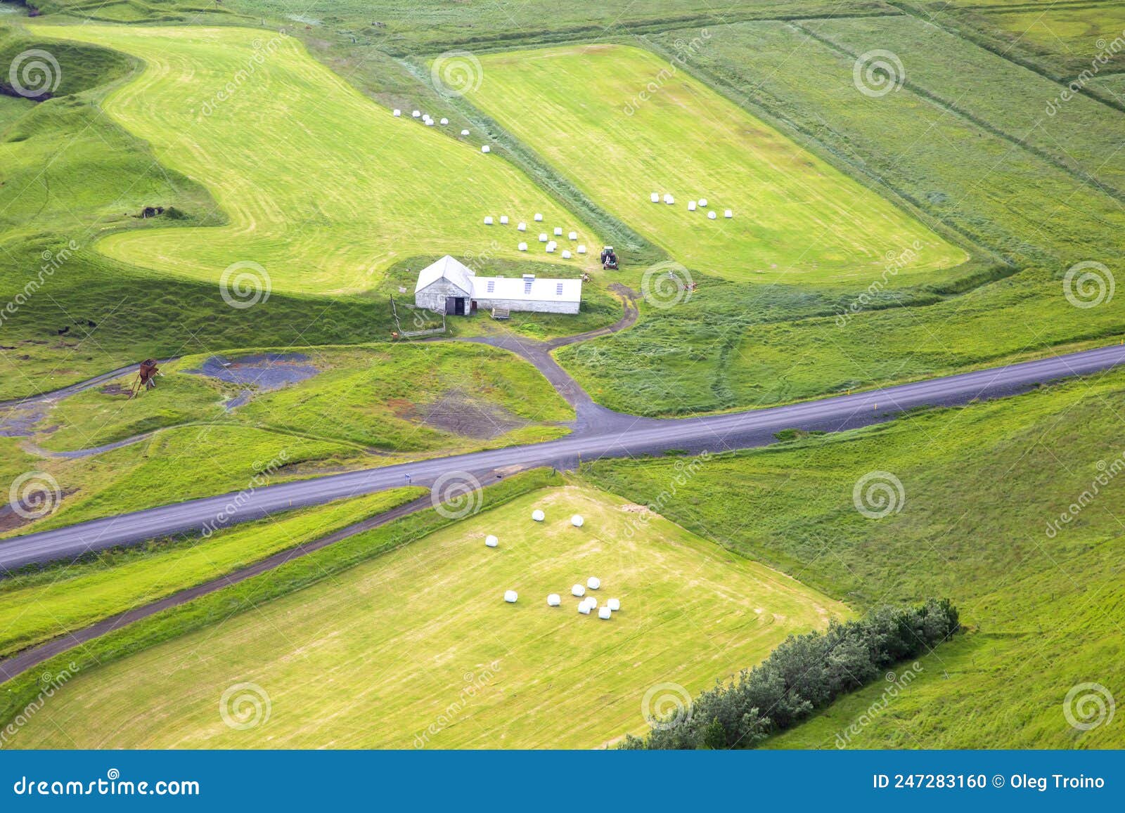 Packed in White Bales Harvested Grass in Iceland Field Stock Photo ...