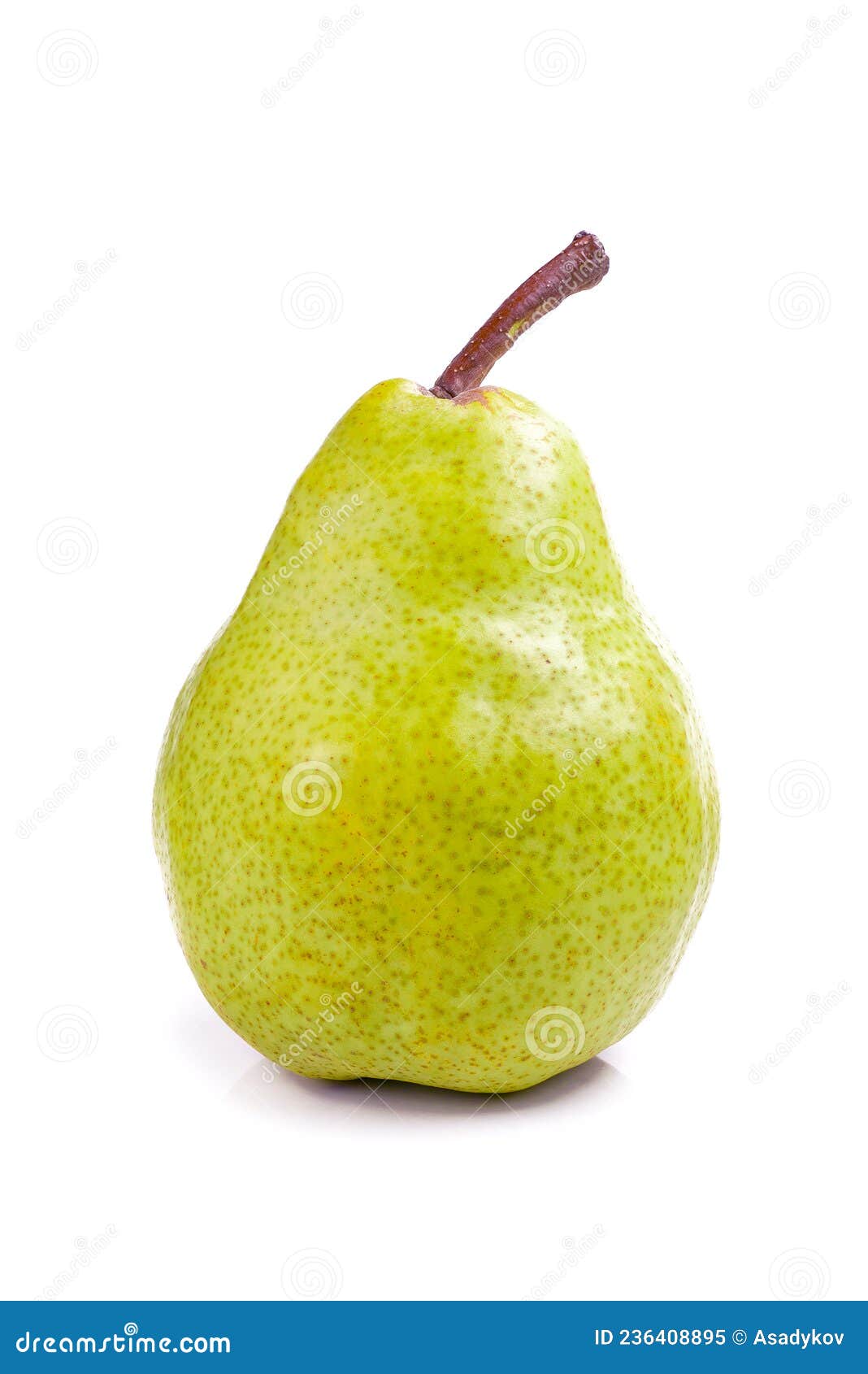 Packham Pear, Also Packhamâ€™s Triumph, Isolated on White Background ...