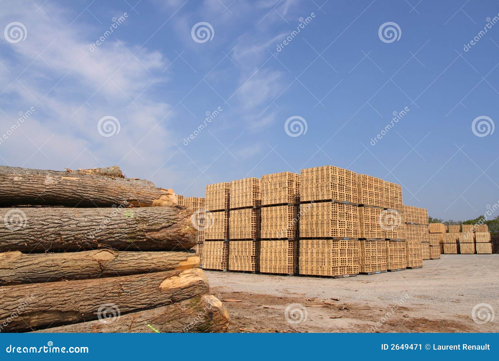 Packing crates production stock image. Image of forest - 2649471