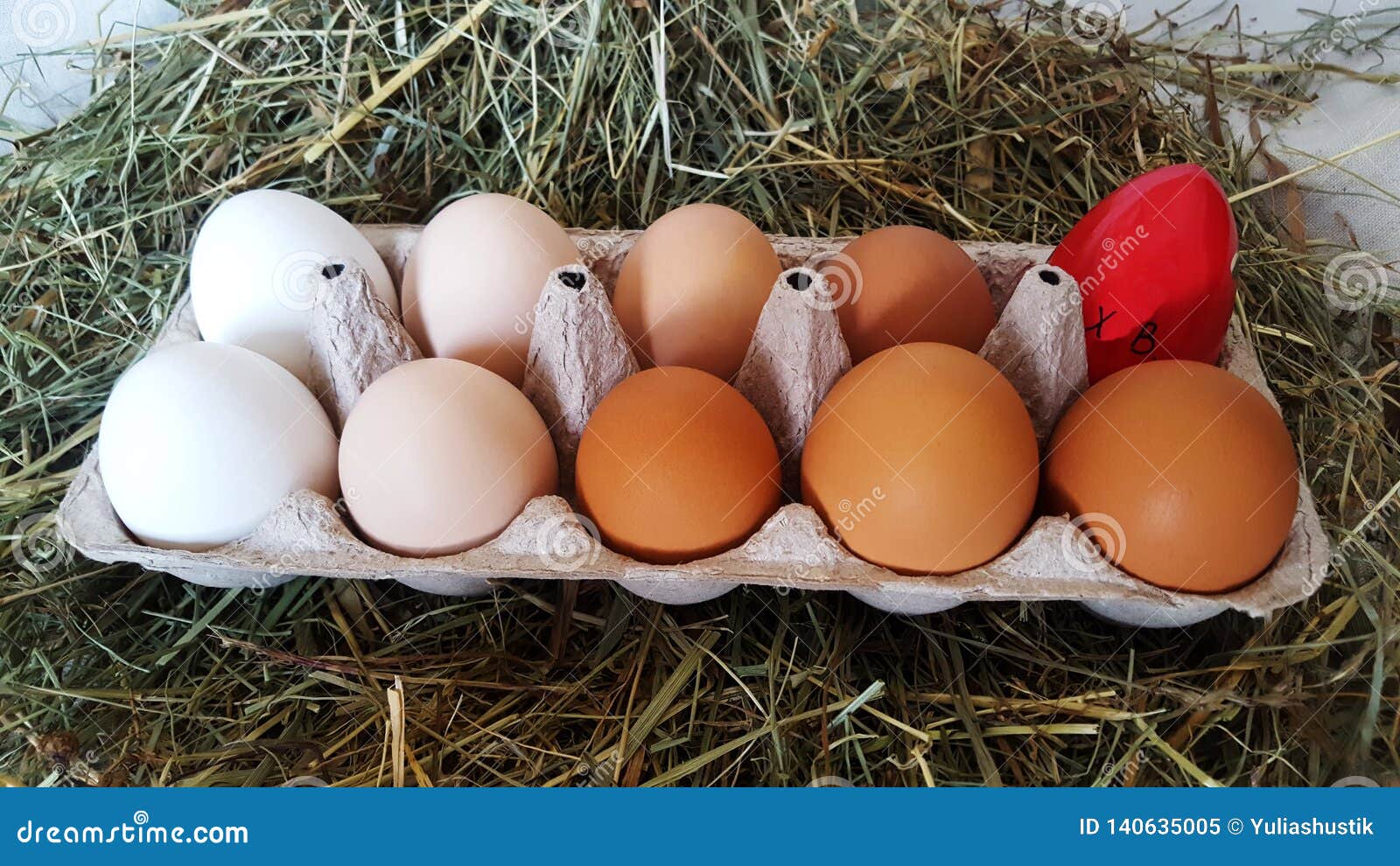 Packing Eggs with One Red Egg. Eggs for Easter. Painted Eggs Stock ...