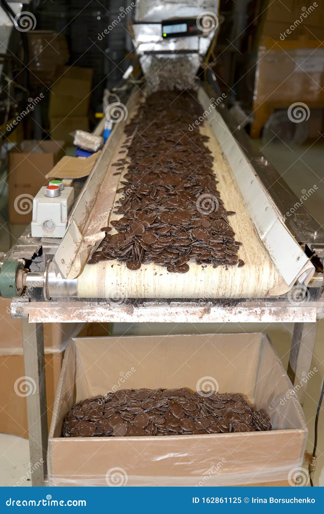 Packing Pebble Chocolate in a Cardboard Box. Chocolate Factory Stock ...