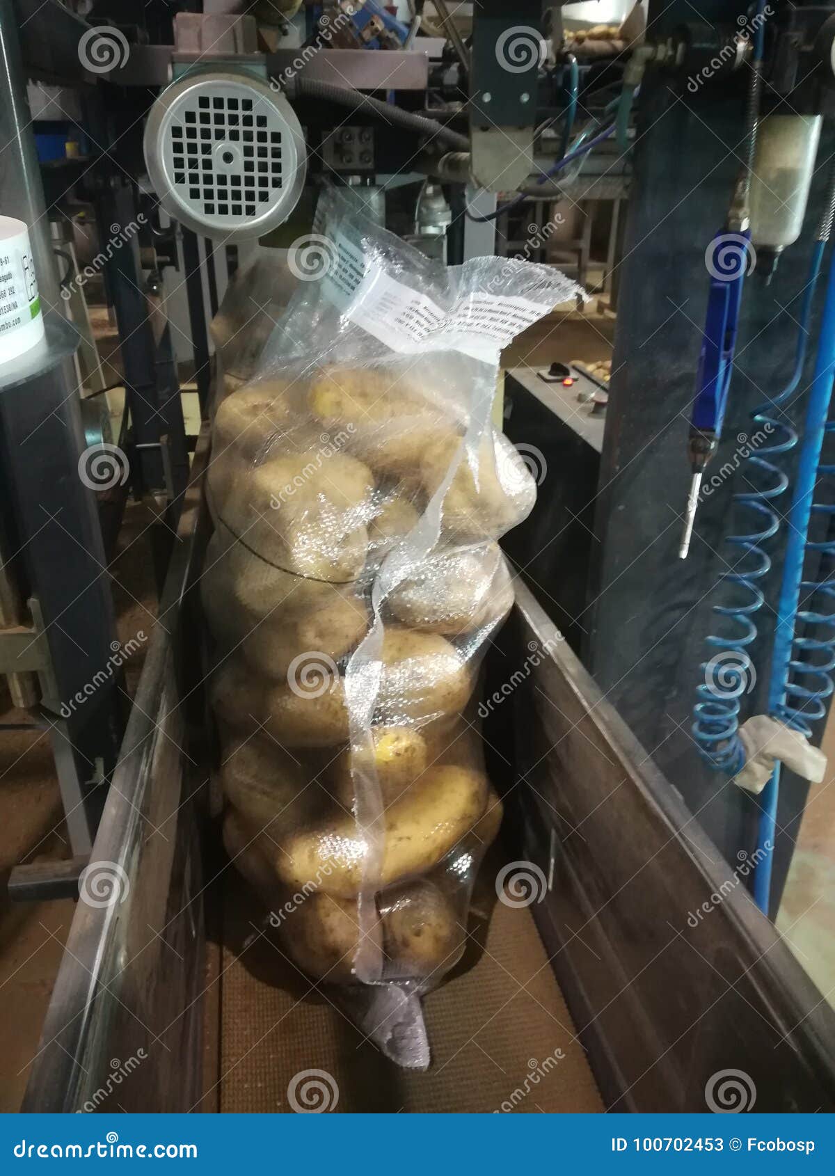 Packing Potatoes in a Factory Stock Image - Image of potatoes, packing ...