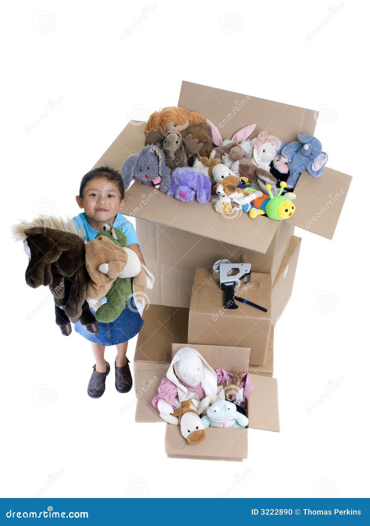 Packing up stock photo. Image of brown, bear, charming - 3222890