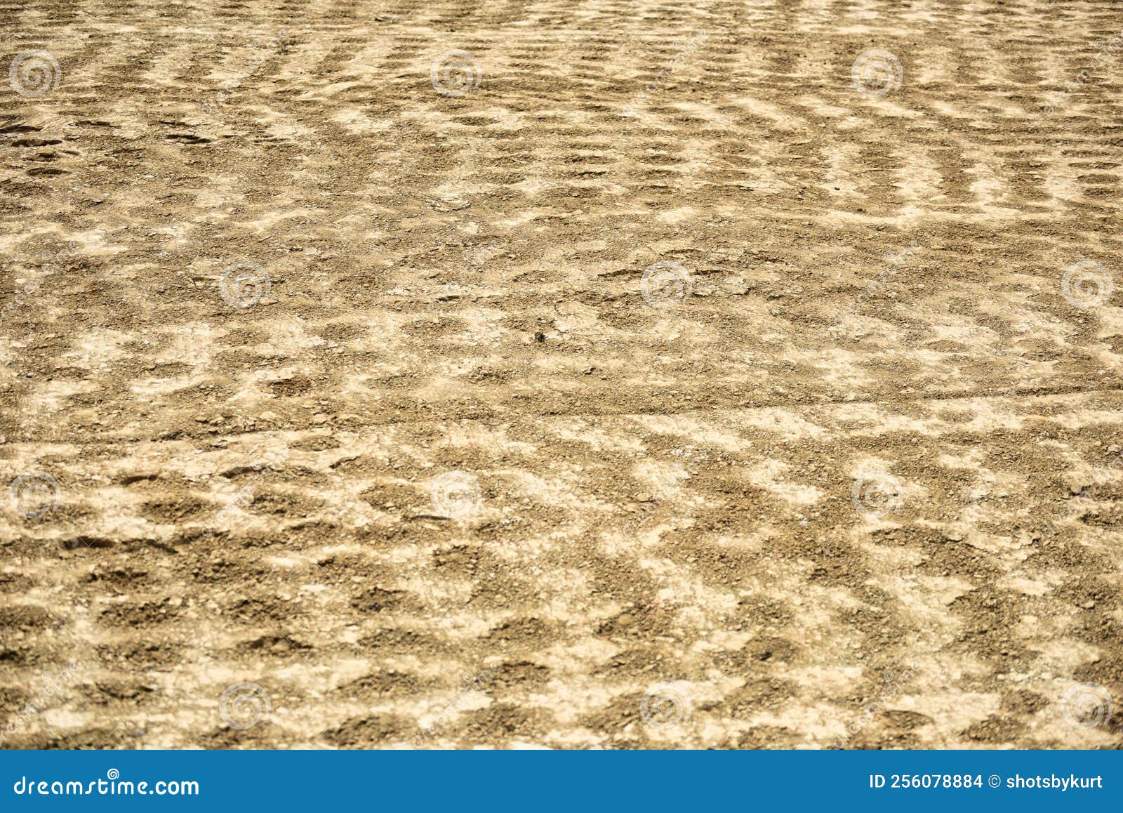 Pad-food compacted soil stock photo. Image of articulated - 256078884