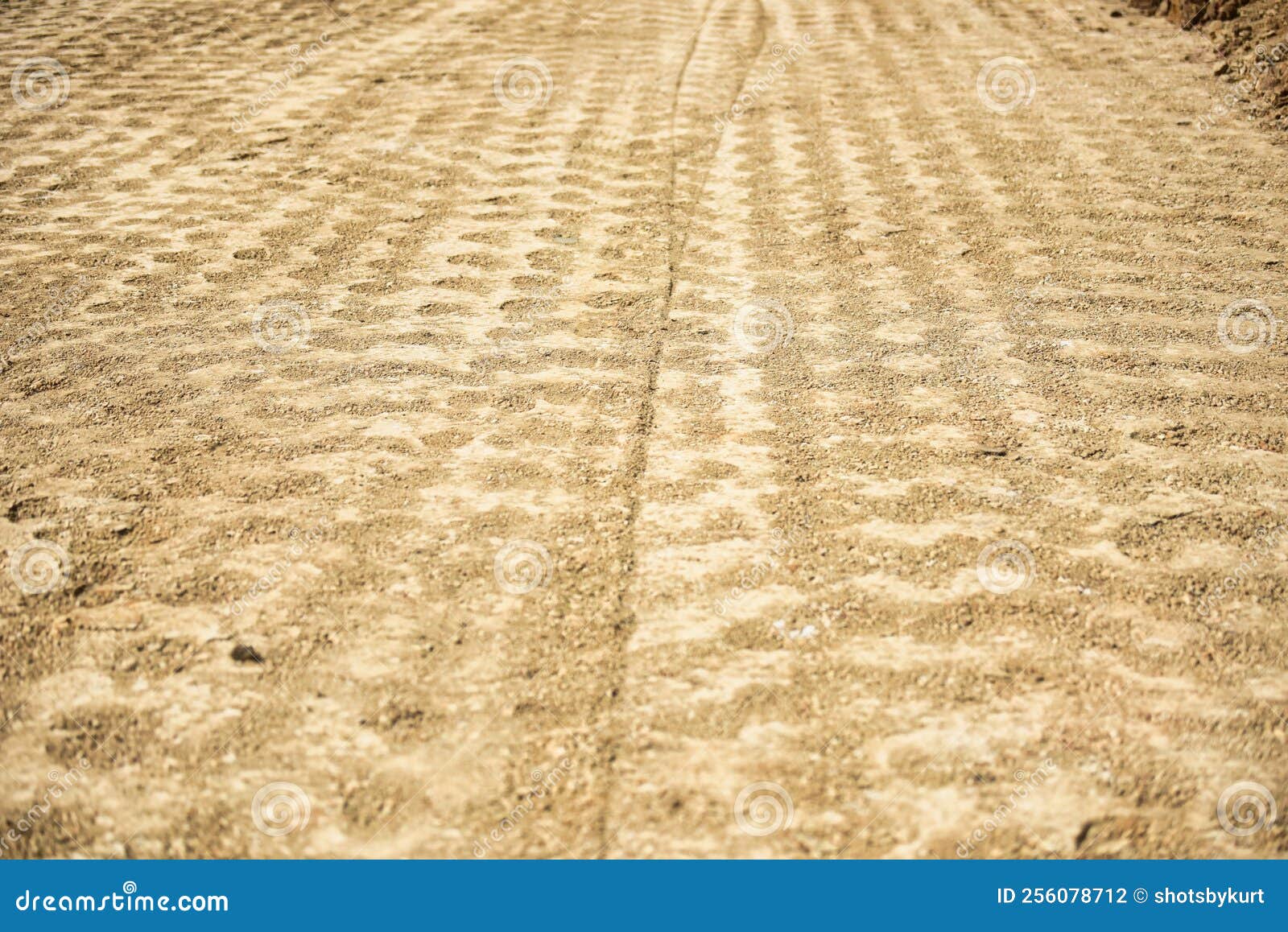 Pad-food compacted soil stock photo. Image of large - 256078712