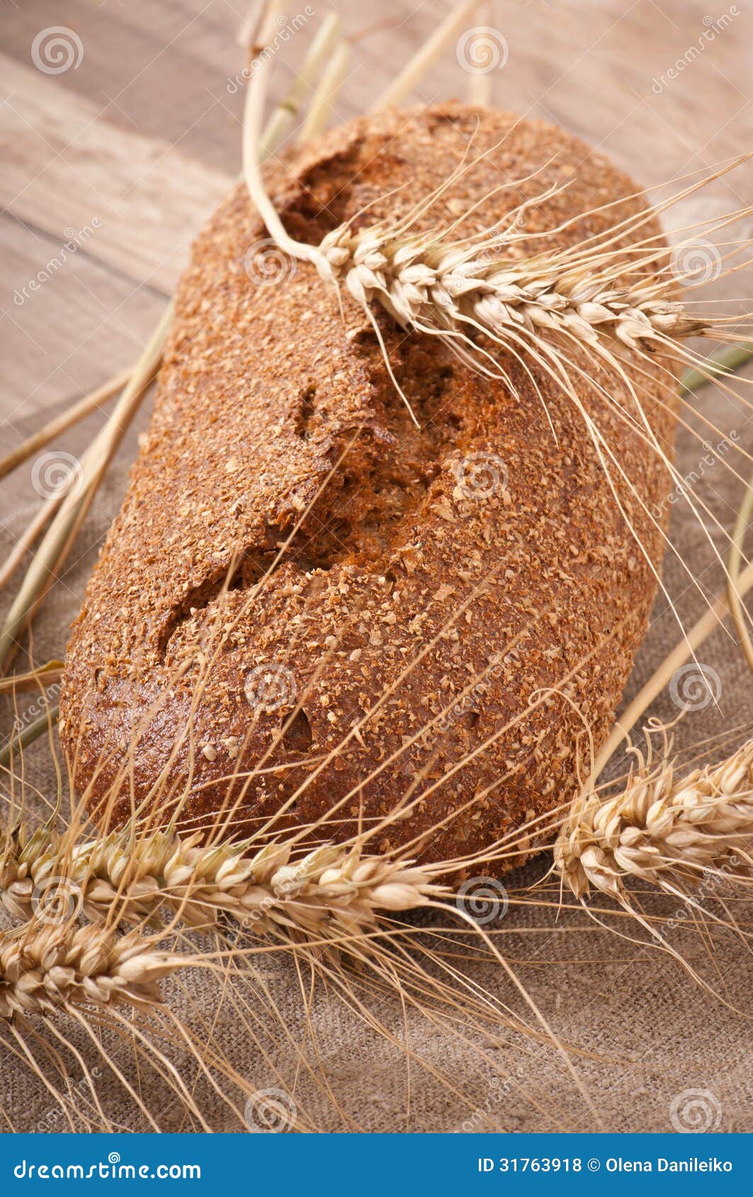 Padaria e orelhas de milho foto de stock. Imagem de orelha - 31763918