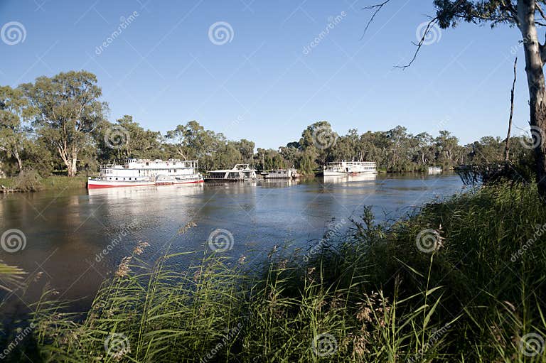 Paddle Boats on Murray River Stock Photo - Image of mildura, water ...