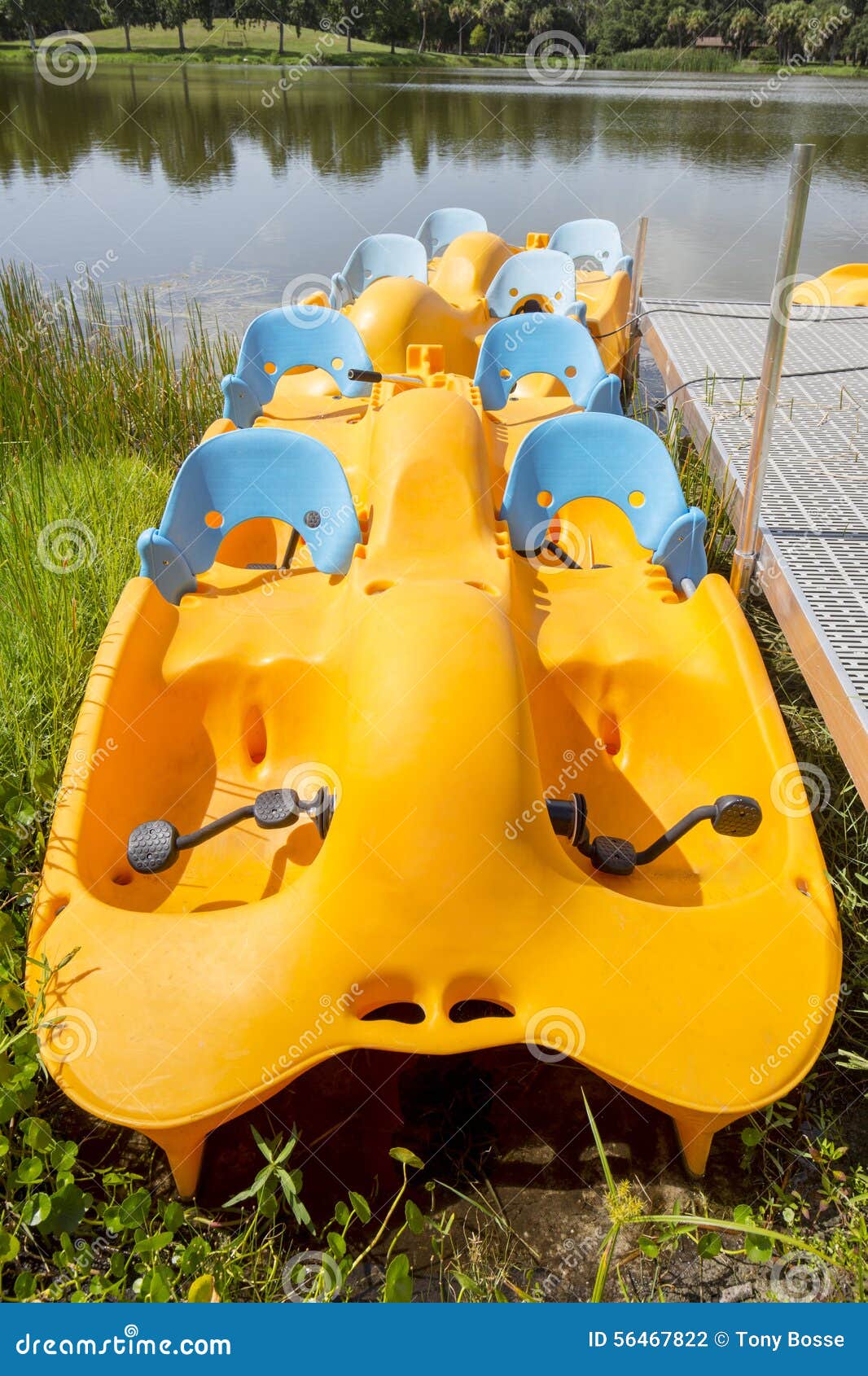 Paddle Boats stock photo. Image of recreational, amusement - 56467822