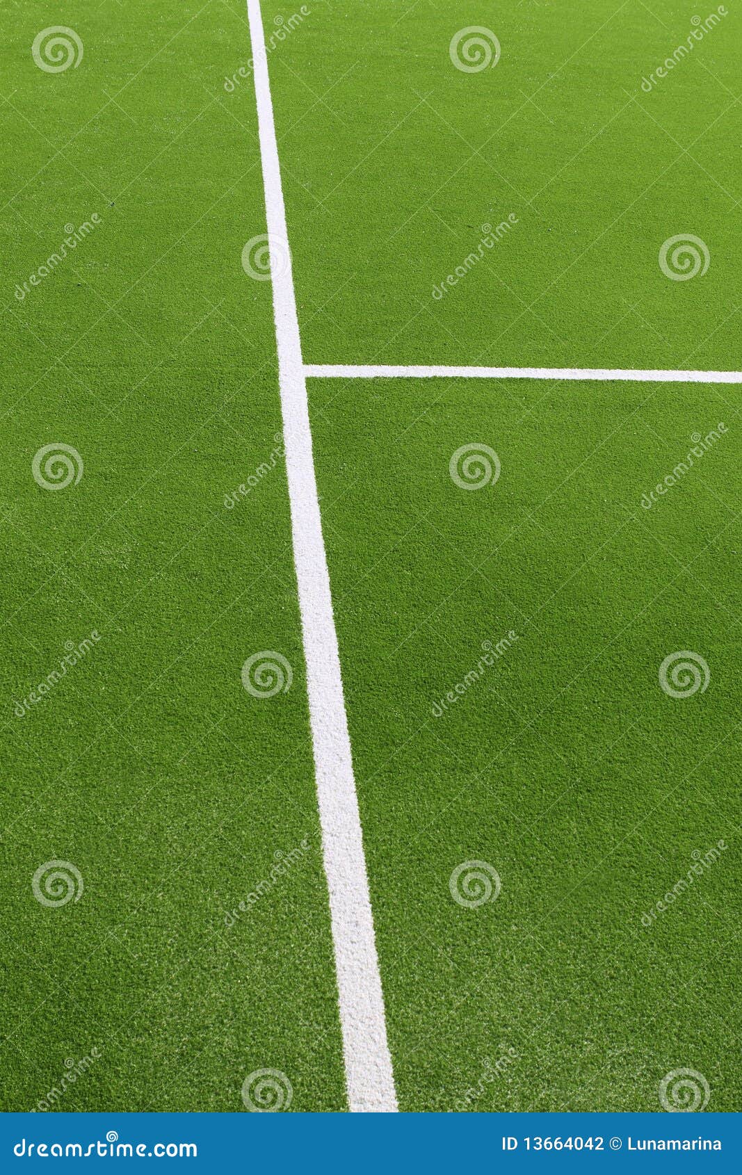 Paddle Tennis Green Grass Camp Field Texture Stock Photo - Image of ...