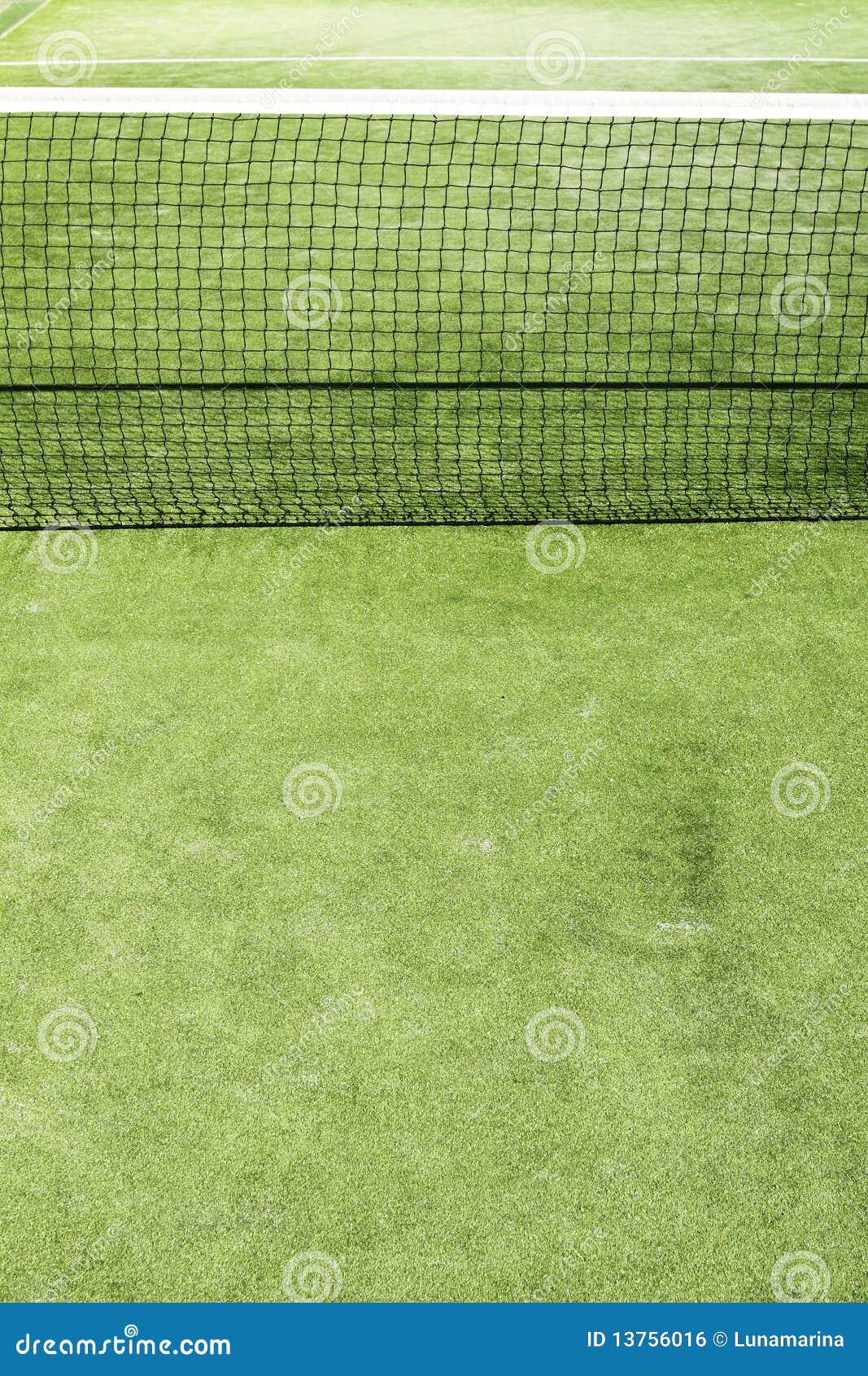 Paddle Tennis Green Grass Camp Field Texture Stock Photo - Image of ...