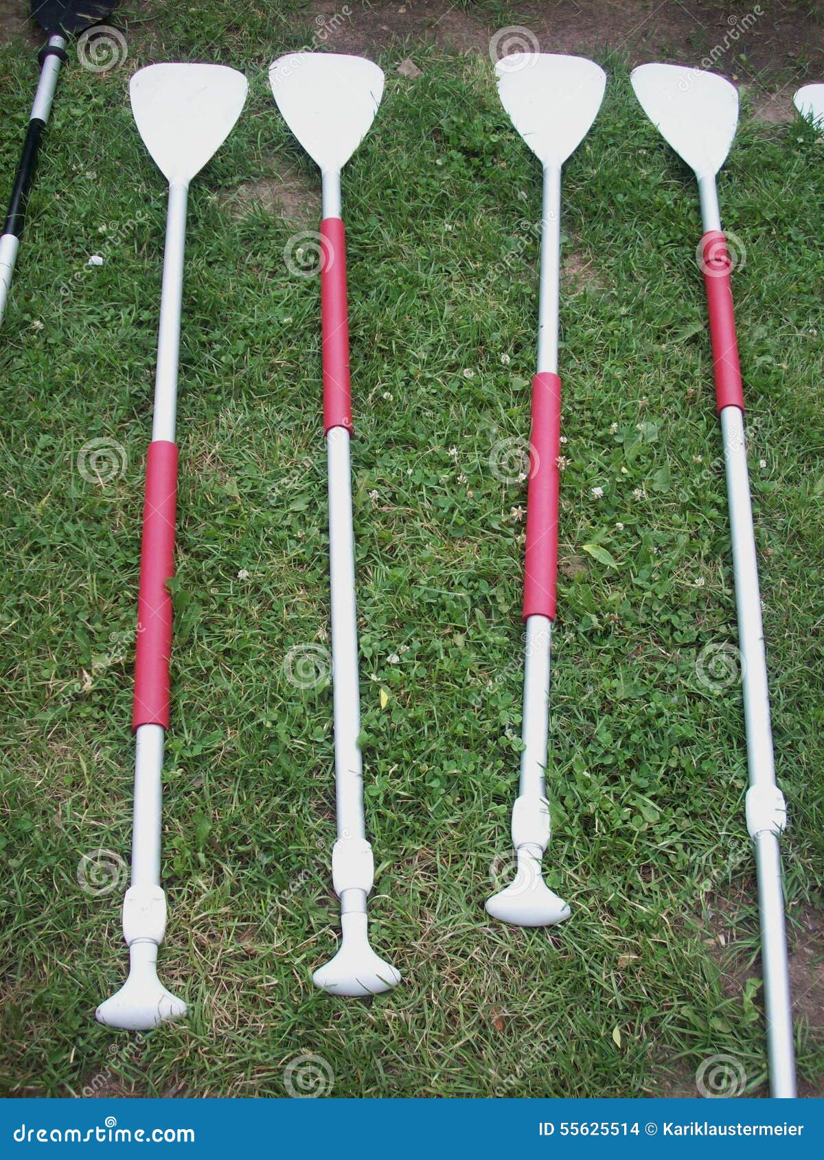 Paddles stock photo. Image of close, relaxed, smooth - 55625514