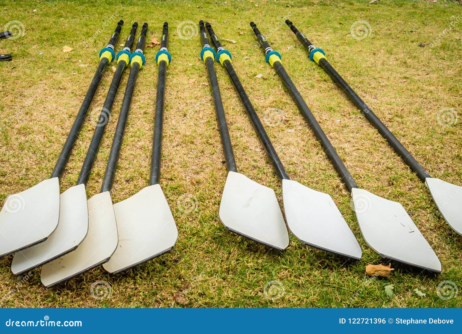 Paddles for Rowing in the Grass for a Competition Stock Photo - Image ...