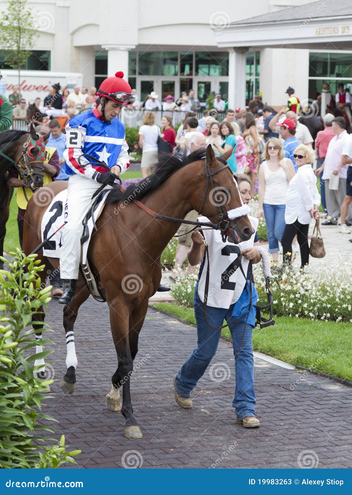 At the paddock editorial stock photo. Image of crowd - 19983263