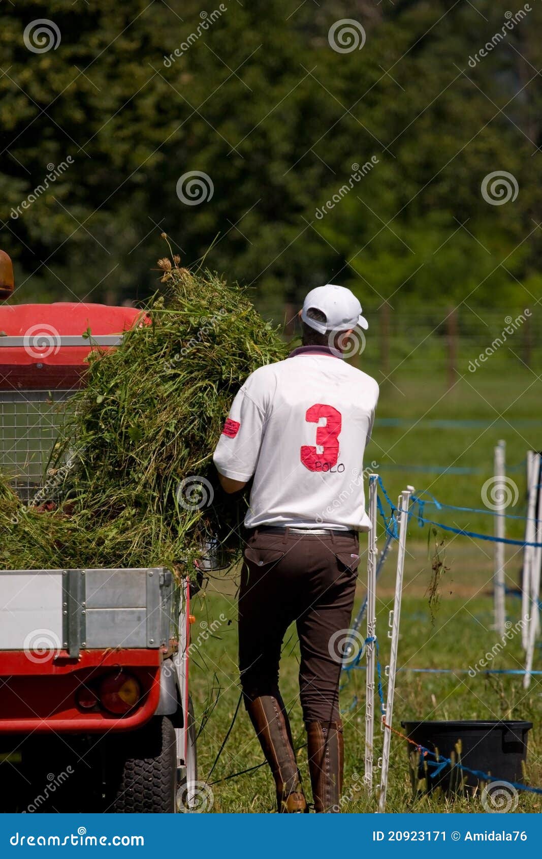 Paddock stock image. Image of farm, work, animal, worker - 20923171