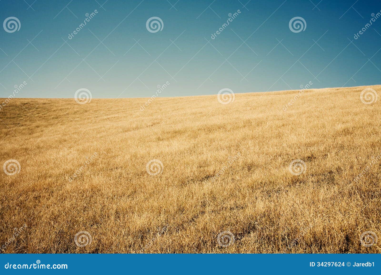 Paddock stock photo. Image of meadow, country, shape - 34297624