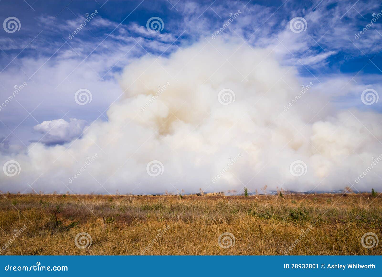 Paddock Fire stock image. Image of smoke, wildfire, summer - 28932801