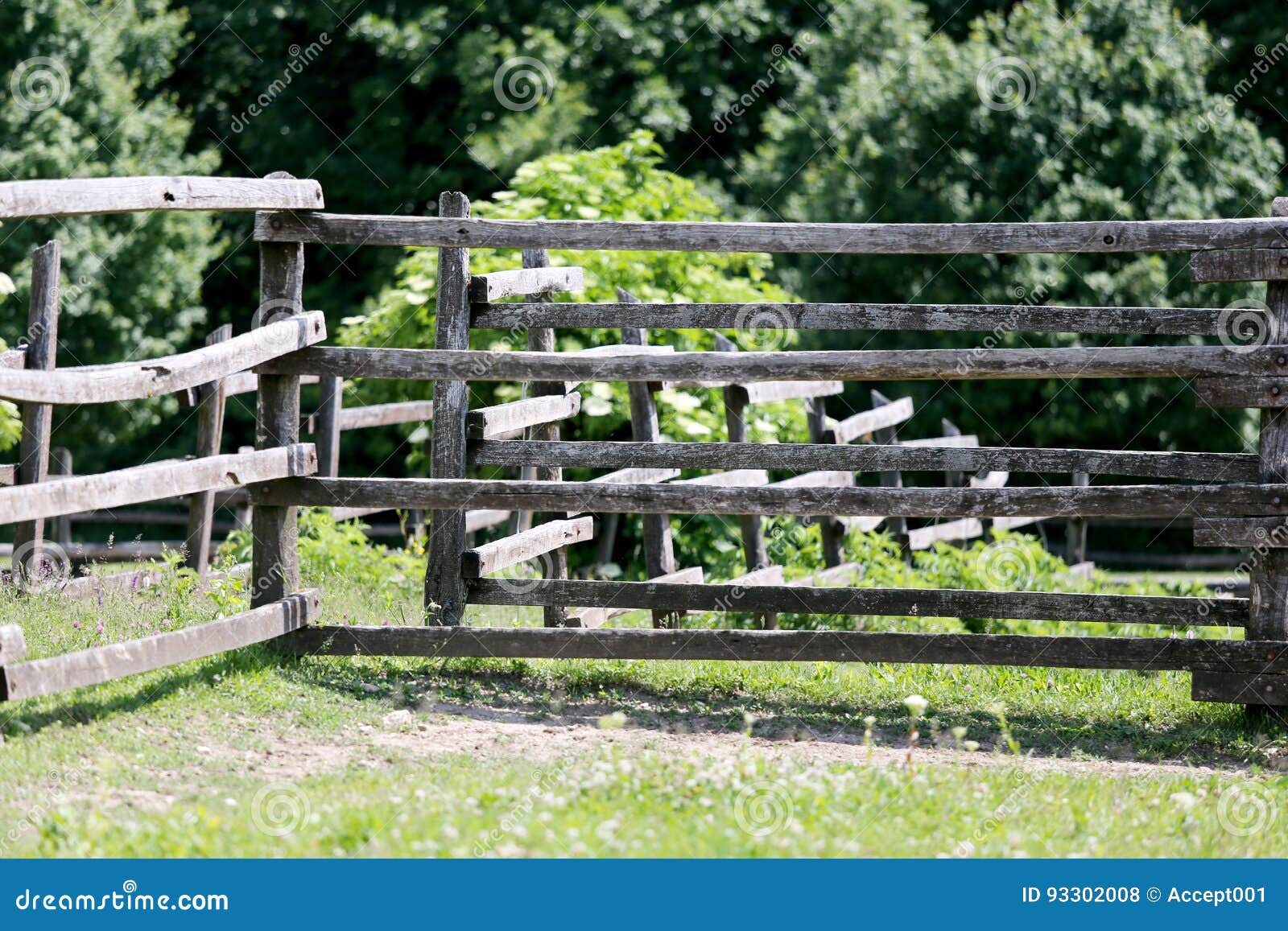 Paddock at the Horse Farm without Horses Stock Photo - Image of horses ...