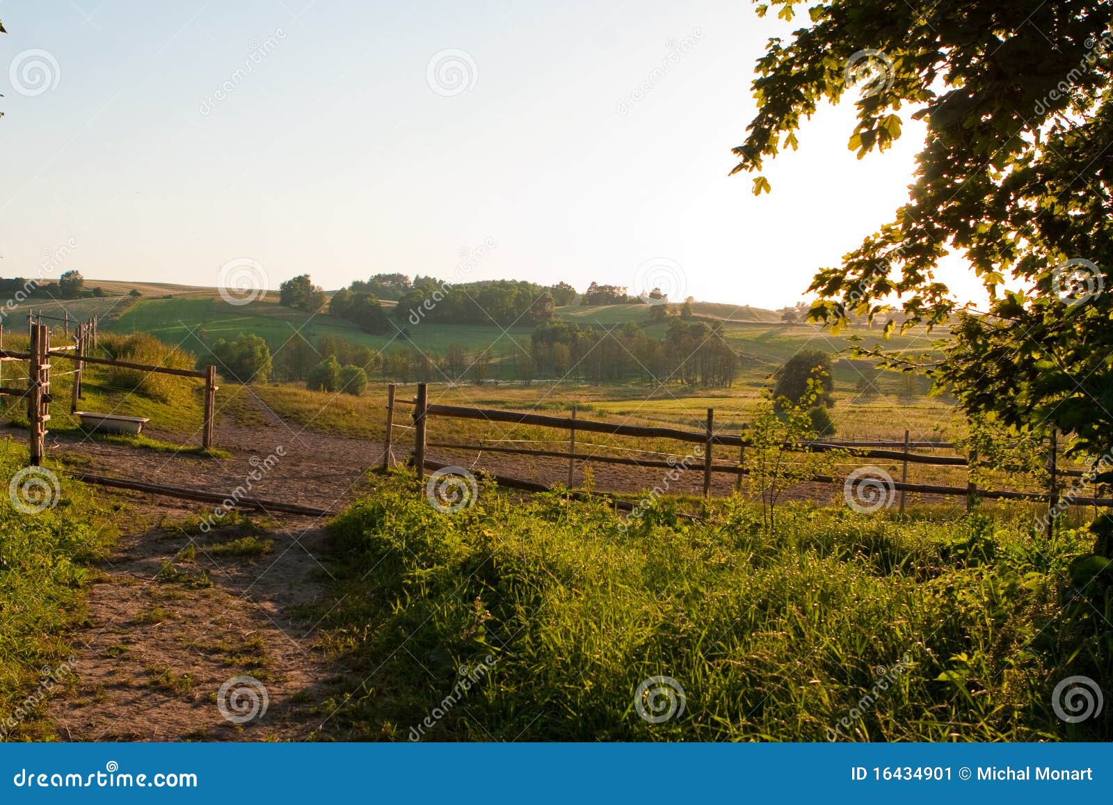 Paddock for horses stock image. Image of polska, mazury - 16434901
