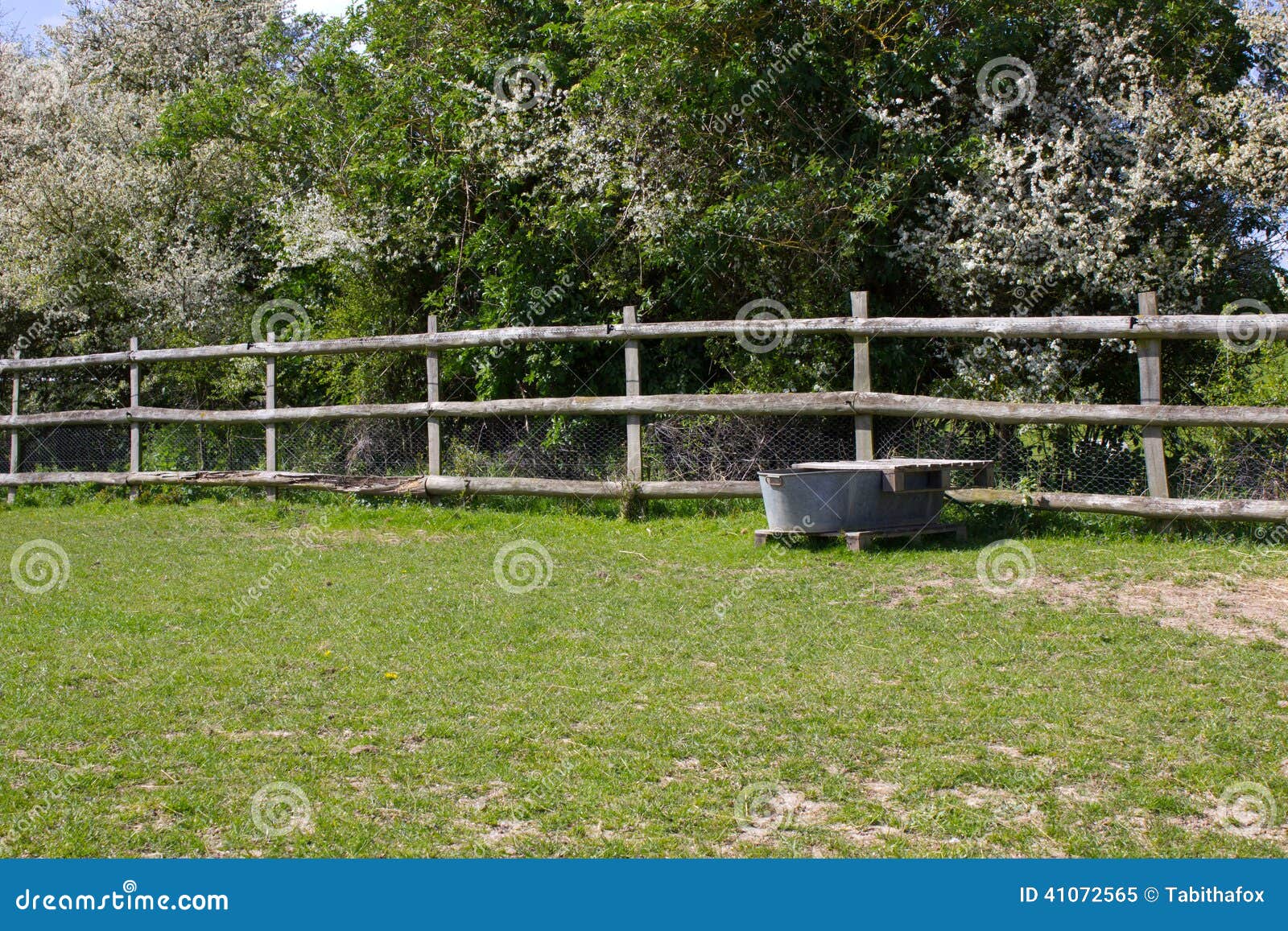 Paddock stock image. Image of background, grassy, paddock - 41072565