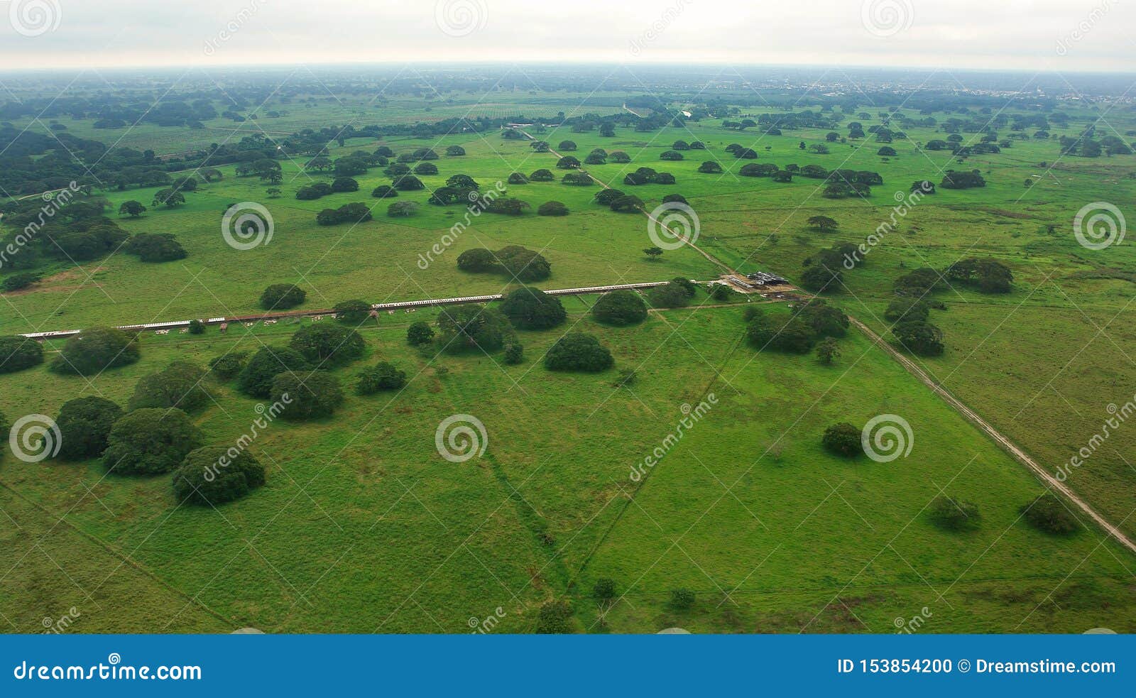 Paddocks aerial view stock photo. Image of horizon, farming - 153854200