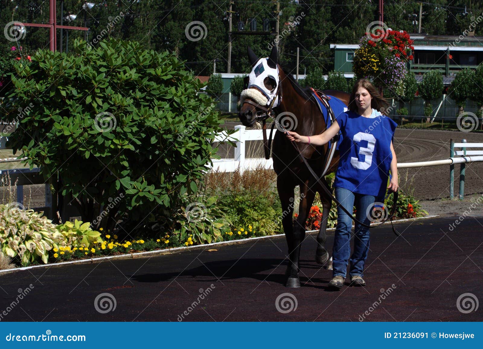 The Paddocks, Hastings Racecourse Editorial Photo - Image of racecourse ...