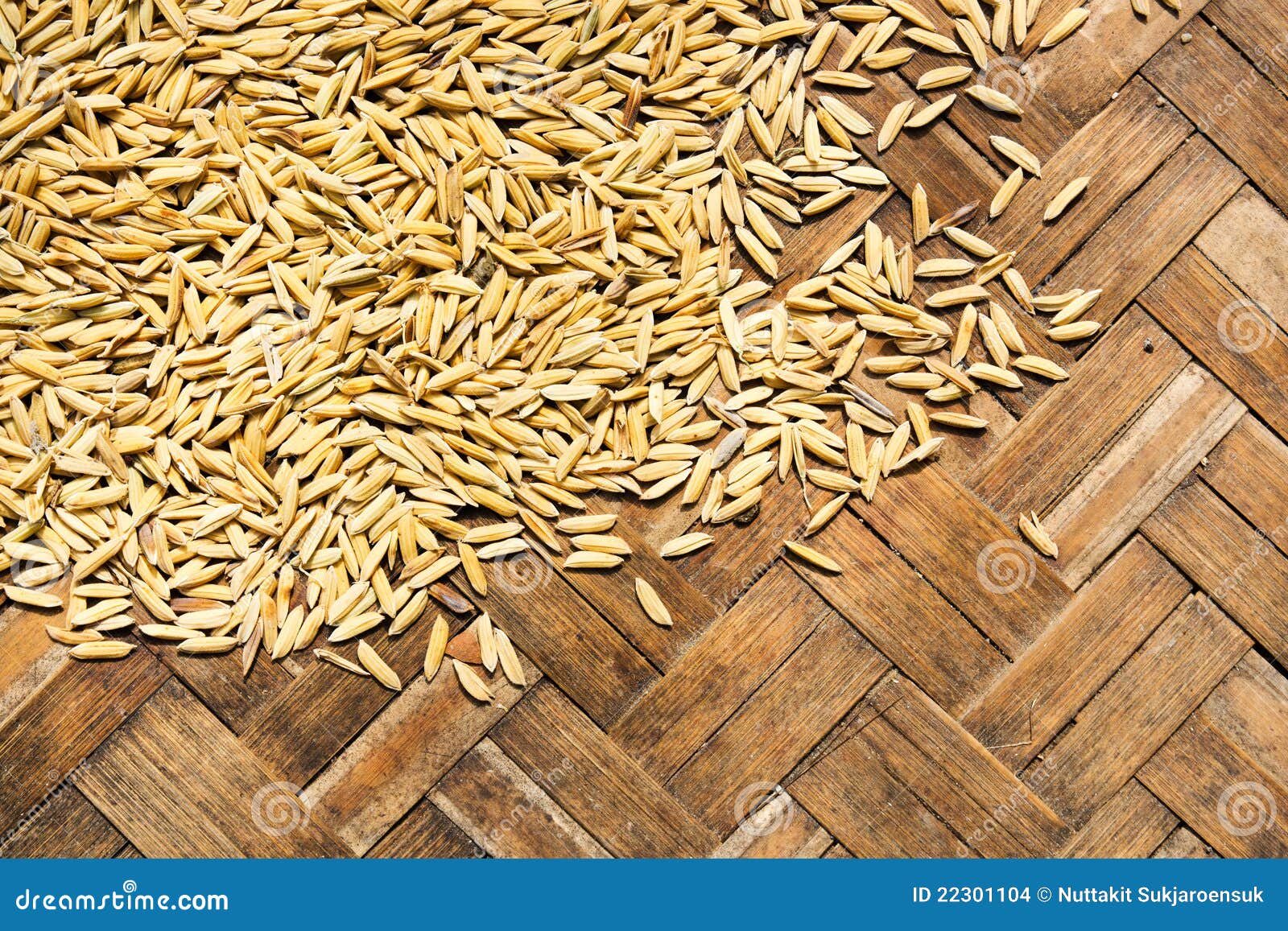 Paddy stock photo. Image of oriental, asian, rice, cook - 22301104
