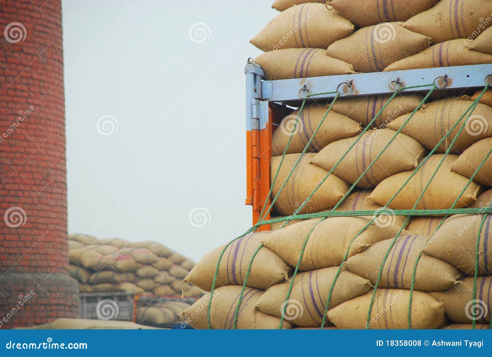 Paddy bags stock photo. Image of drying, factory, plant - 18358008