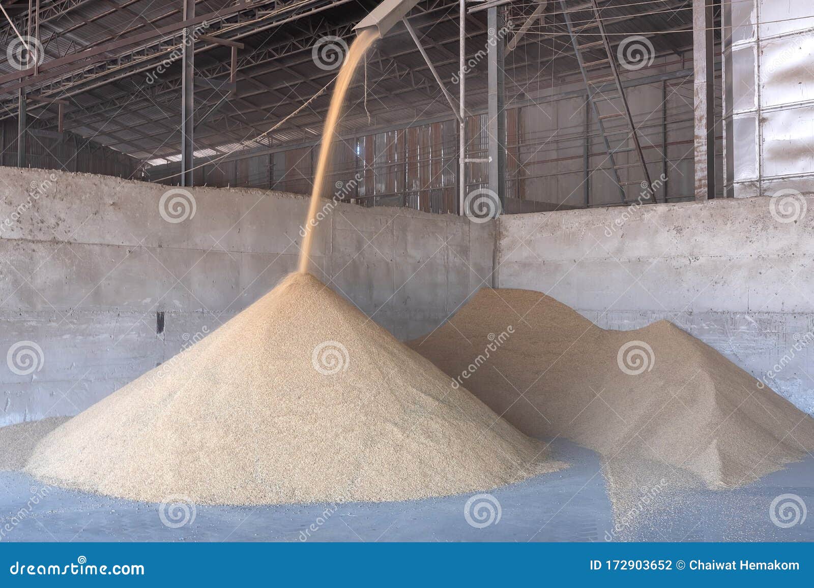 Paddy Baked Being Let Down From The Tank To The Floor. Rice Mill System ...