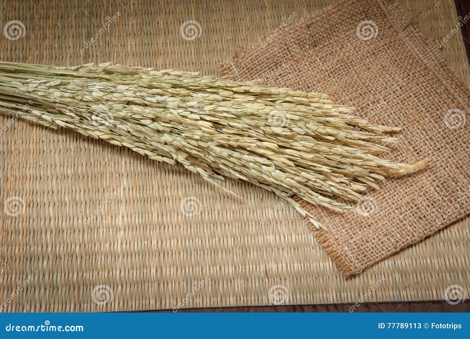 Paddy on bamboo mats stock image. Image of colour, farming - 77789113