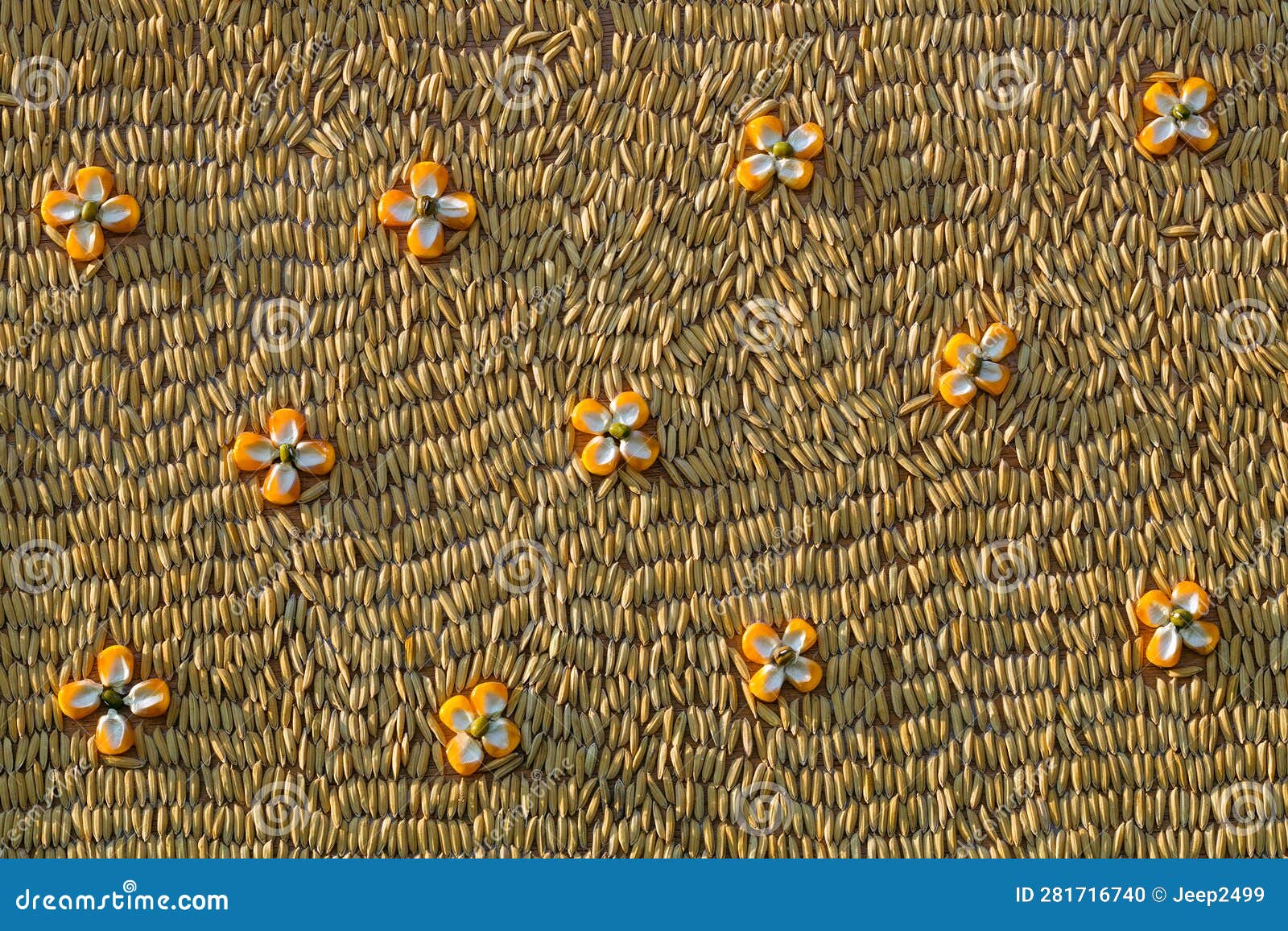 Paddy and Corn Grain Patterns. Stock Photo - Image of wallpaper, macro ...