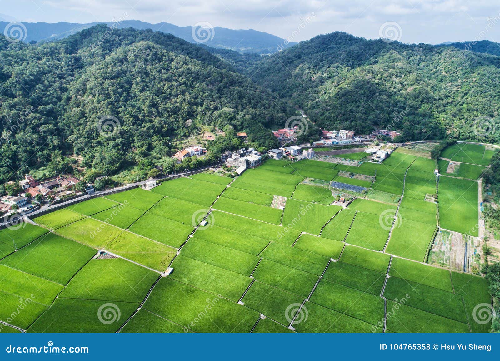 Paddy Field Aerial View foto de archivo. Imagen de nadie - 104765358