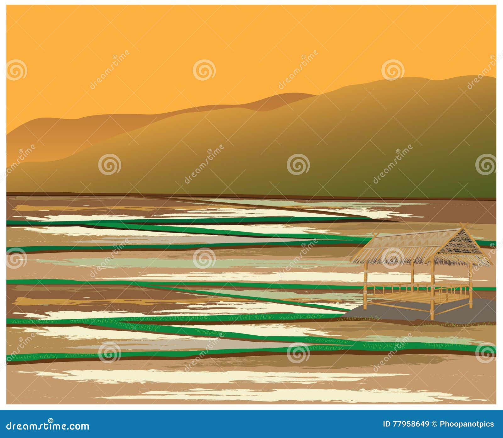 Paddy field stock illustration. Illustration of mountain - 77958649