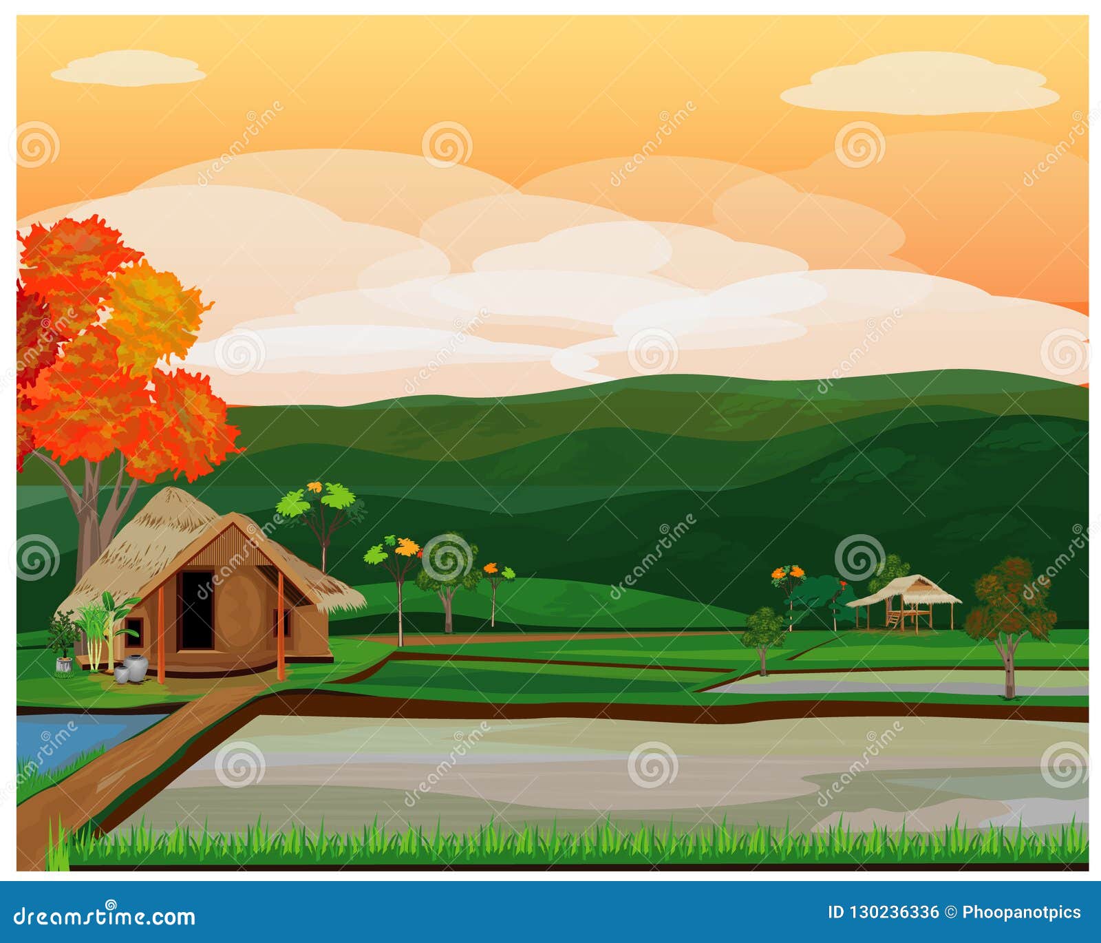 Paddy field stock vector. Illustration of paddy, tree - 130236336