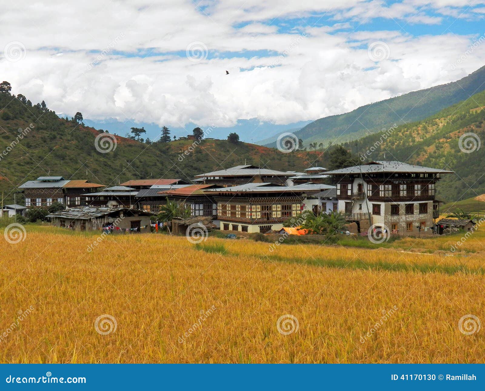 Paddy Field i Bhutan arkivfoto. Bild av oklarhet, härlig - 41170130