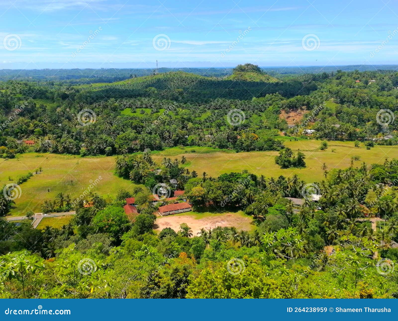 Paddy field with mountain stock image. Image of mountain - 264238959
