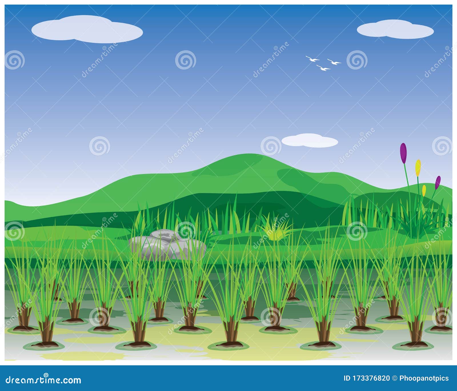 Paddy Field with Mountain Vector Design Stock Vector - Illustration of ...