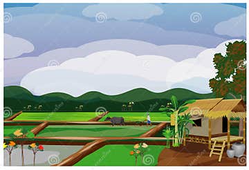 Paddy field stock vector. Illustration of vector, buffalo - 130236350