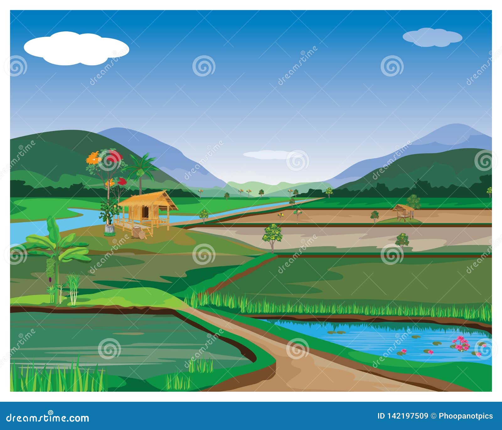 Paddy Field Vector Stock Illustrations – 1,940 Paddy Field Vector Stock ...