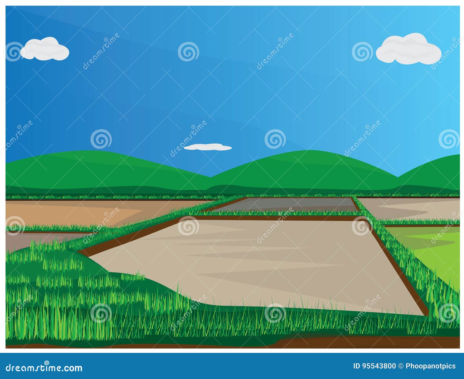 Paddy field stock vector. Illustration of ecosystem, plain - 95543800