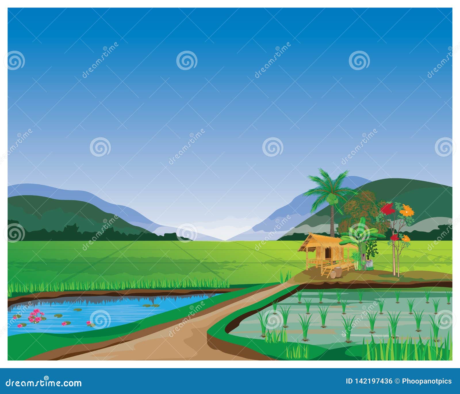 Paddy field vector design stock vector. Illustration of field - 142197436